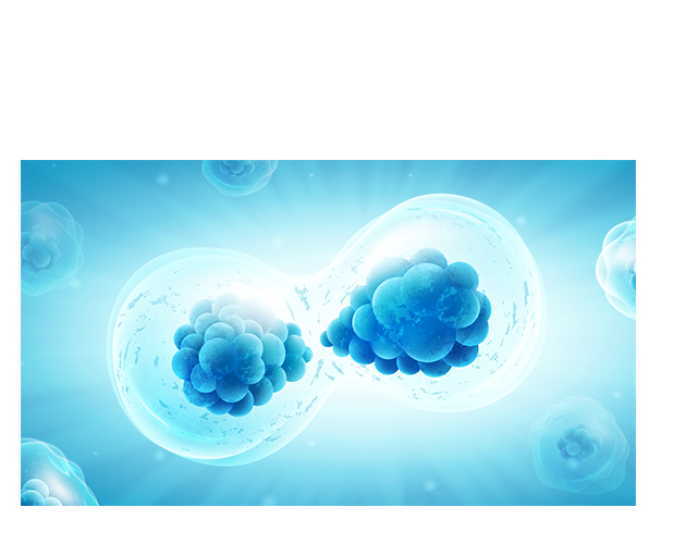 Science Publication Inc