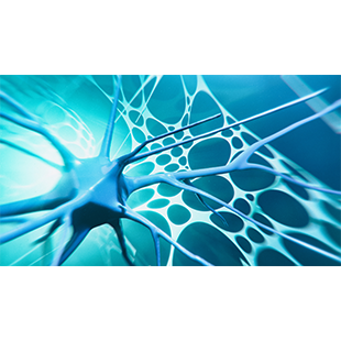 Science Publication Inc