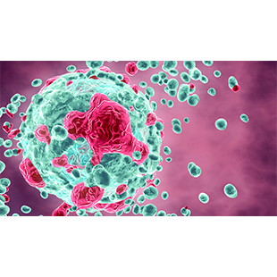 Science Publication Inc